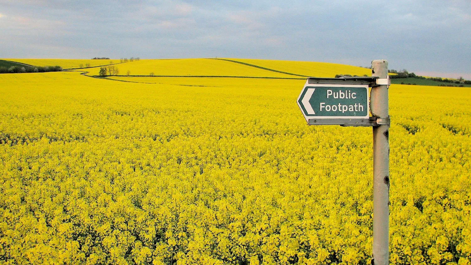 Walking tips to embrace our Scottish Summer – Walking Scotland